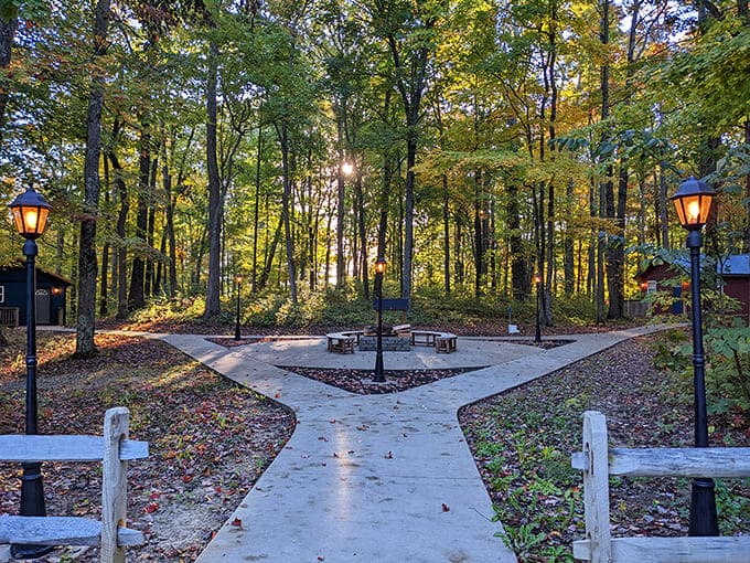 Autumn's golden hour bathes this woodland gathering space, where forest paths converge around a fire pit made for storytelling.