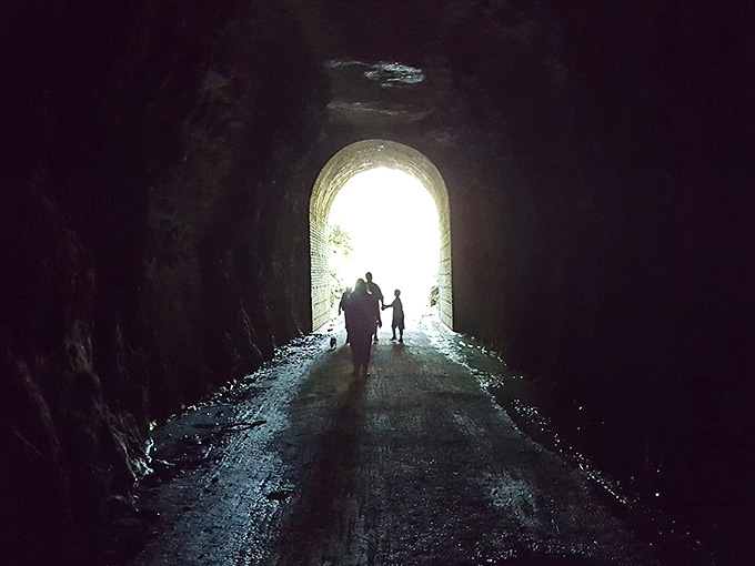 Delicate spring hepatica flowers push through last season's leaves, their purple petals like nature's own welcome committee after winter's retreat.