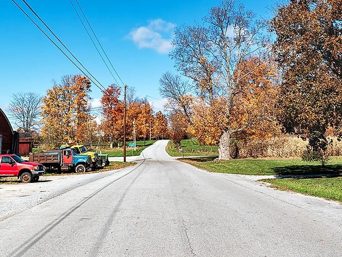 Country roads wind through autumn's golden hour, when Vermont's rural beauty feels like driving through a painting come alive.