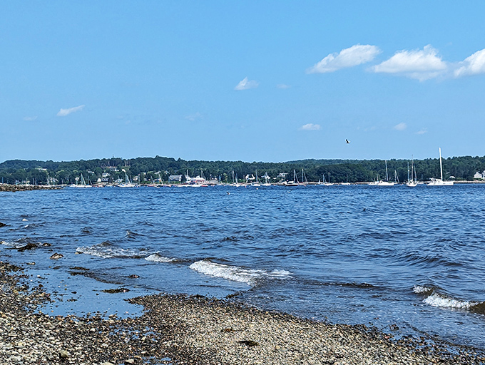Penobscot Bay stretches toward the horizon, its sparkling waters dotted with islands and sailboats in a scene that defines coastal Maine.