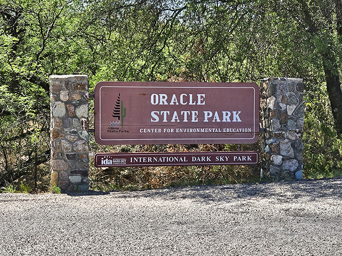 The entrance sign welcomes visitors to both a state park and an International Dark Sky sanctuary &ndash; daytime beauty and nighttime magic.