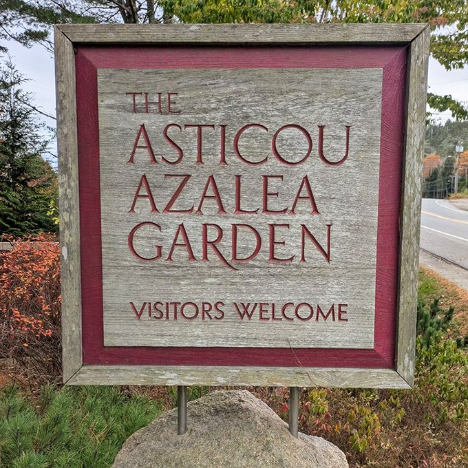 The sign says "Visitors Welcome," but what it really means is "Prepare to fall in love with a garden you'll never want to leave."