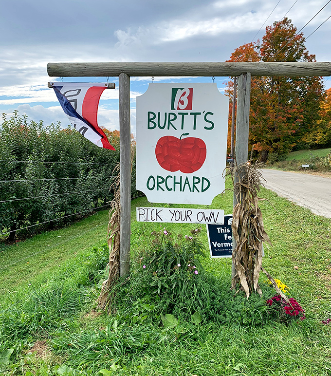 The welcoming sign to Burtt's Orchard promises "Pick Your Own" adventures, framed by autumn foliage that signals peak Vermont in all its glory.