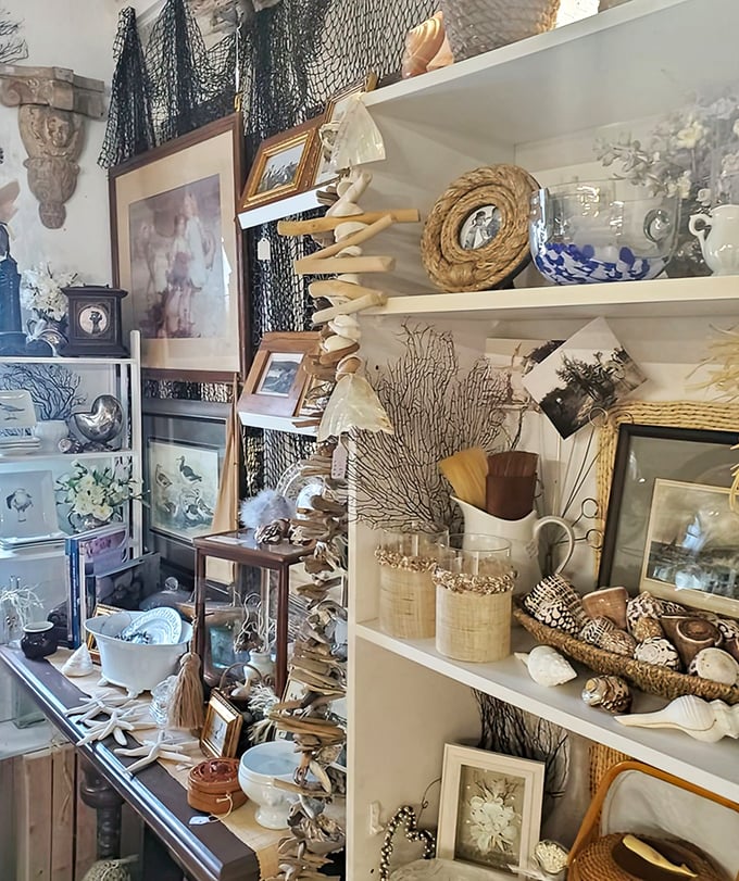 A seashell sanctuary that brings the beach indoors. Neptune himself would approve of this carefully curated collection of coastal treasures.