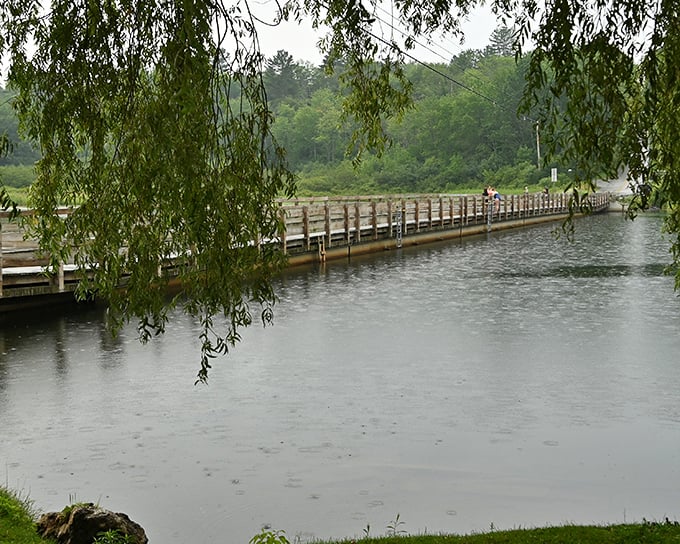 Weeping willows create a natural frame around the Floating Bridge, their delicate branches dancing just above the water's surface.