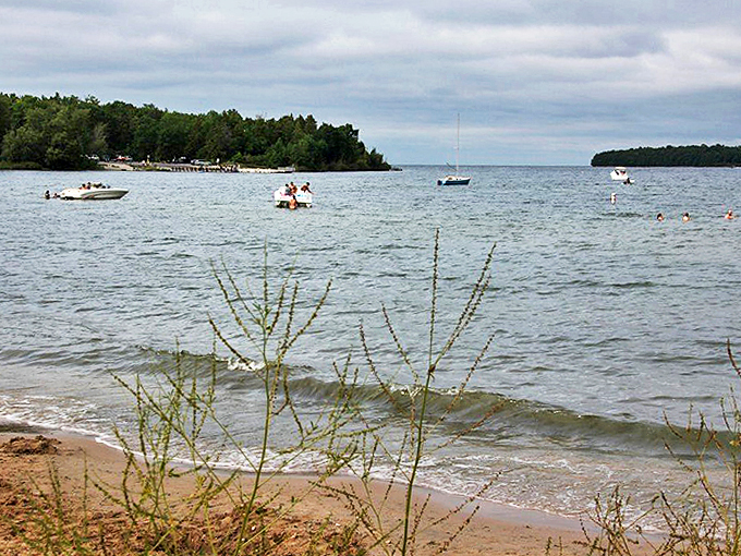 Where forest meets shore in a stunning display. It's like Mother Nature's own resort, minus the hefty price tag!