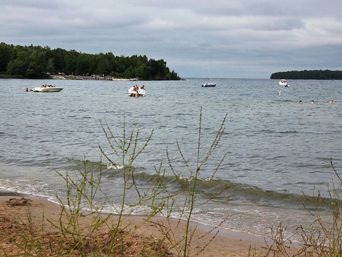 Where forest meets shore in a stunning display. It's like Mother Nature's own resort, minus the hefty price tag!