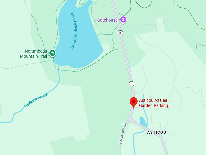 16. asticou azalea garden map