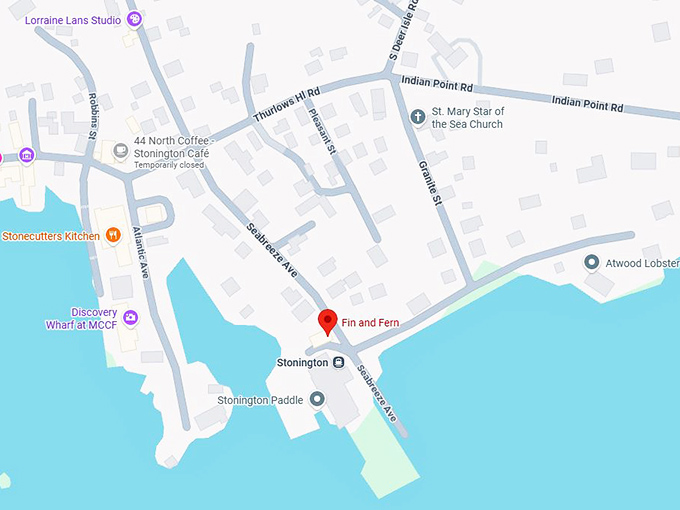 16. fin and fern map