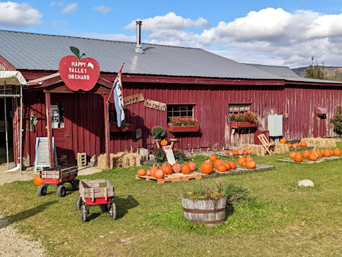 The classic red barn of Happy Valley Orchard stands as a beacon to cider donut enthusiasts across Vermont, promising sweet autumn treasures inside.