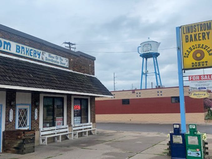 Donut lovers, meet your Scandinavian soulmate! These golden beauties are like edible hugs from a Swedish grandma&mdash;comforting, sweet, and irresistible.