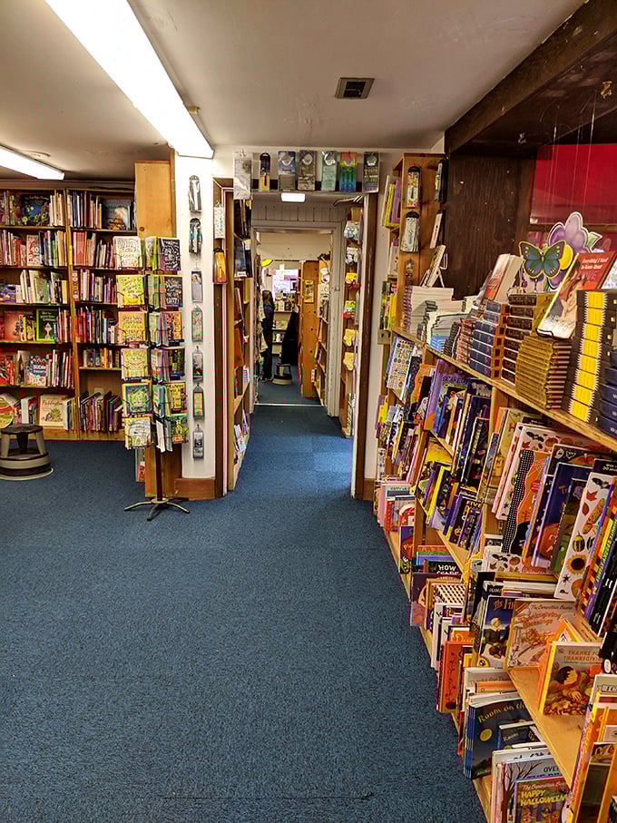 Books, books everywhere! This charming brick building houses a maze of stories waiting to be discovered.