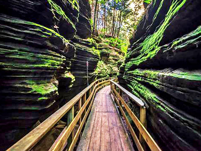 Squeeze through this emerald corridor and emerge feeling like Alice after her Wonderland adventure. Just watch out for grinning Cheshire cats!