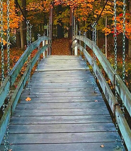 2 3 mile trail michigan ftr