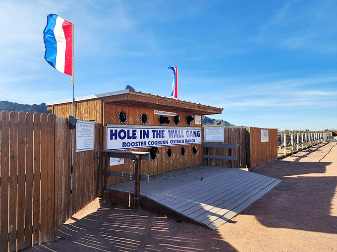 "Hole in the Wall Gang" takes on a whole new meaning here. This wooden facade promises wild west shenanigans with a twist of feathered fun. 