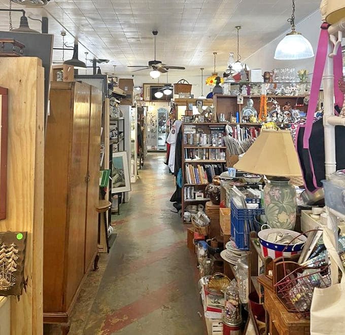 Narrow pathways create a treasure hunter's paradise where every step reveals new possibilities and unexpected finds from decades past.