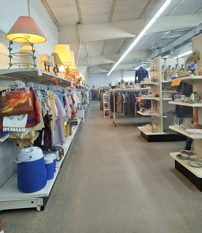 Walking these aisles is like exploring a museum where everything's for sale &ndash; each shelf a different exhibit of American life.