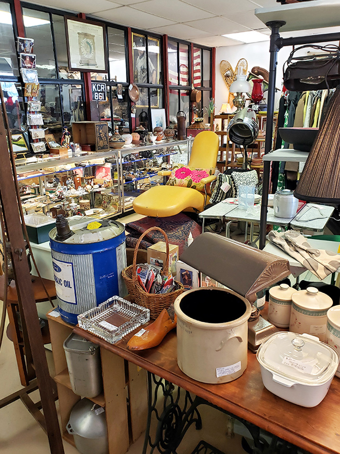 Navigate this organized chaos of history where every shelf tells a different decade's story. Marie Kondo would have a panic attack.