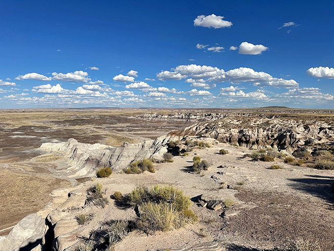 Cloud-watching just got an upgrade. Blue Mesa's panorama is like Mother Nature's own IMAX, no 3D glasses required