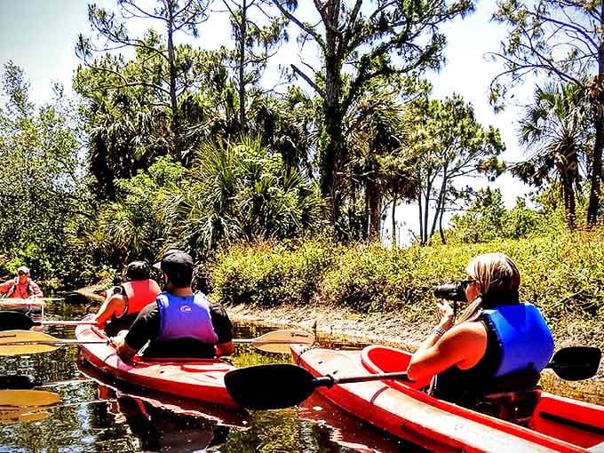 Nature's ultimate surround sound: the gentle splash of paddles, rustling palms, and the occasional "did you see that?" whispered excitedly between kayakers.