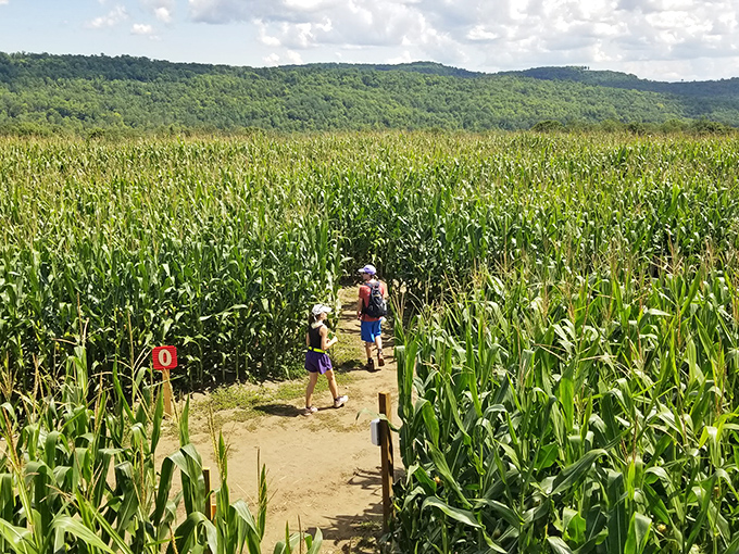 The path less traveled? Actually, it's the same path everyone's been circling for 45 minutes, but the adventure continues!