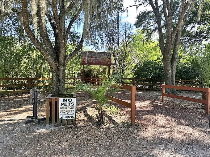 Nature's perfect welcome mat &ndash; the rustic entrance to Devil's Den hints at the wonders waiting below ground.