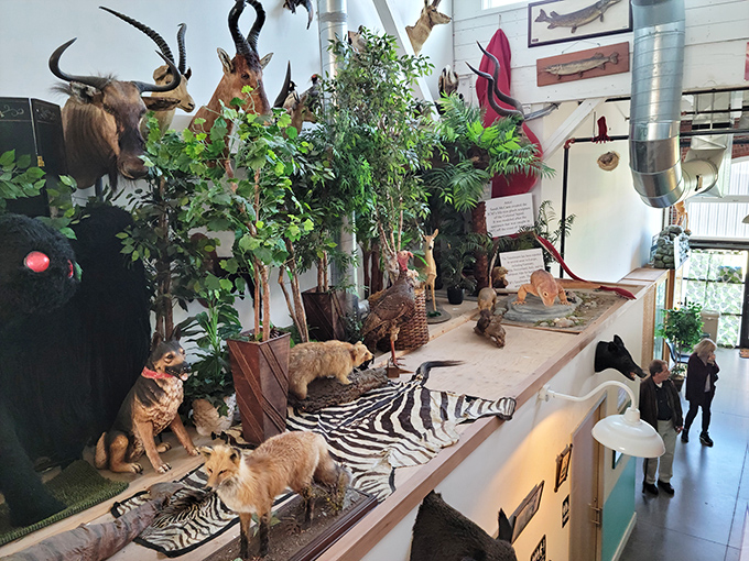 Nature meets mythology in this elaborate display where taxidermy transforms ordinary animals into a jungle of cryptozoological wonder.
