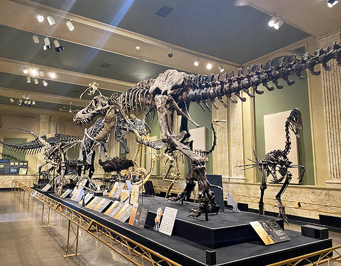 Towering theropod skeletons command the main hall, their massive frames frozen in time yet somehow still vibrant with prehistoric energy.