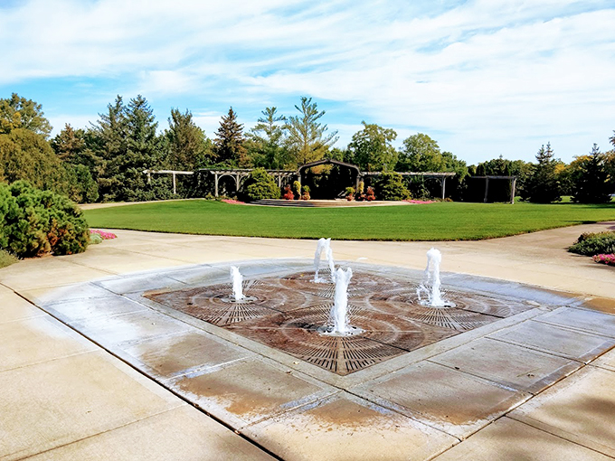 Water you looking at? This fountain is nature's version of a dance party, where droplets pirouette in a mesmerizing aquatic ballet.