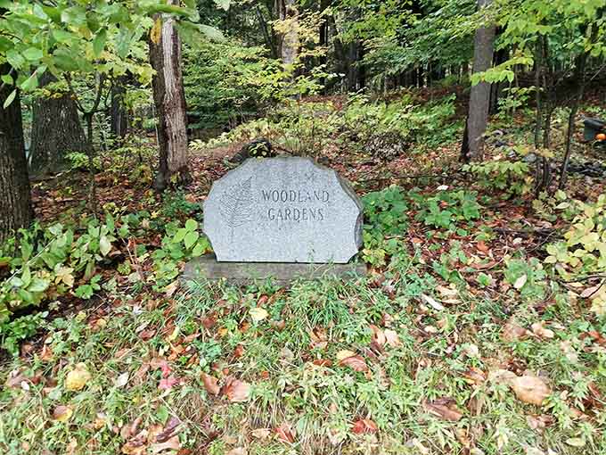 The Woodland Gardens marker sits quietly among the trees, proving that even memorial stones appreciate a good forest view and some quality alone time.