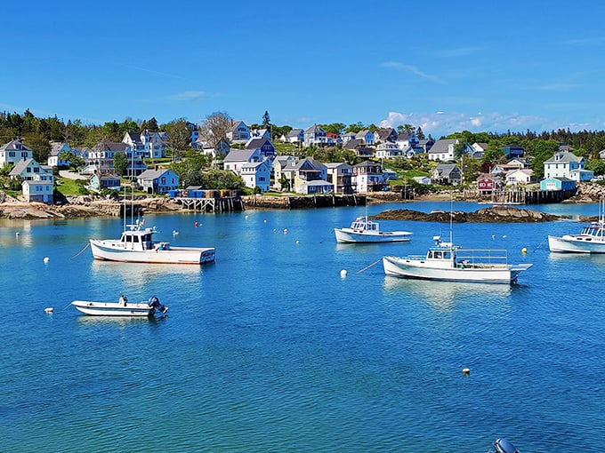 The quintessential Maine postcard view: white boats bobbing against azure waters, with tidy coastal homes standing sentinel on the shore.