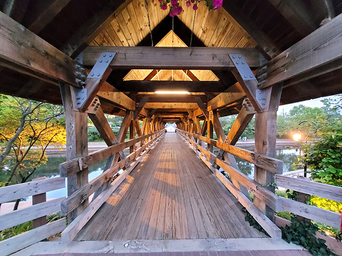 Sunlight streams through this wooden time machine. Step inside and you might just hear the echoes of centuries past... or at least some very happy ducks. 