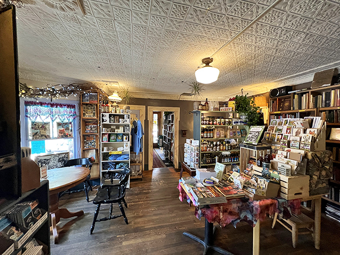 Sunlight streams through windows onto wooden floors, illuminating shelves where stories wait patiently for readers to discover their magic.