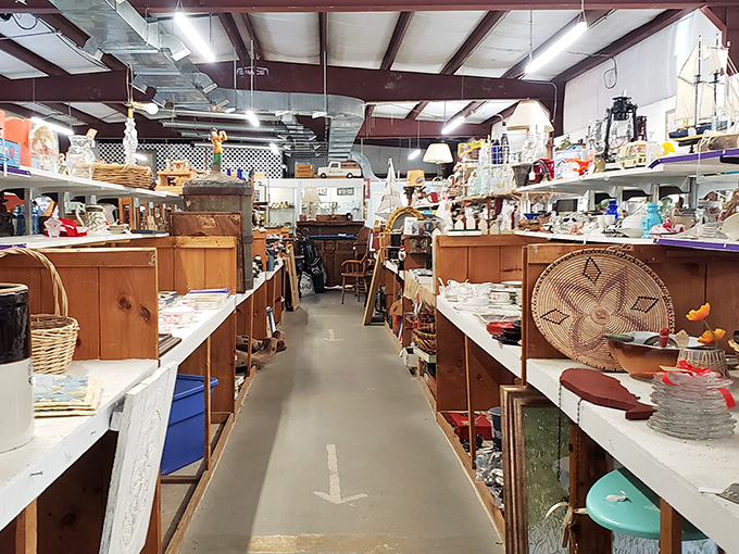 Long aisles of carefully curated shelves stretch into the distance, each one promising discoveries that will make your heart skip.