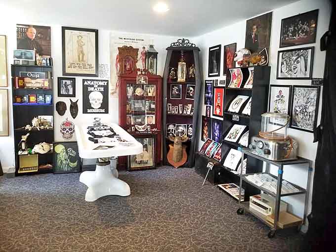 Interior: White walls create the perfect canvas for this cabinet of curiosities, where medical history meets mortality in a thoughtfully arranged tableau of the inevitable.
