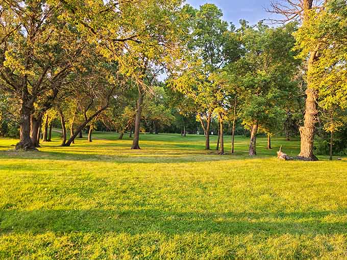 This lawn is so perfectly green and inviting, you half expect a picnic basket to materialize out of thin air like magic.