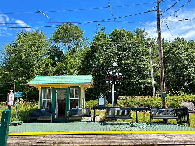 Morrison Hill Station stands as a perfectly preserved time capsule, complete with vintage signage and the nostalgic charm of early 20th century rail travel.
