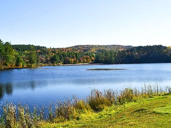 This is what serenity looks like when it's not trying too hard, just pure Vermont beauty doing its thing.