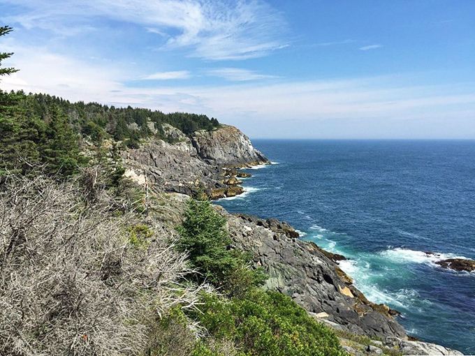 Nature's skyscrapers: Monhegan's dramatic cliffs stand sentinel over the Atlantic, offering views that make even teenagers put down their phones.