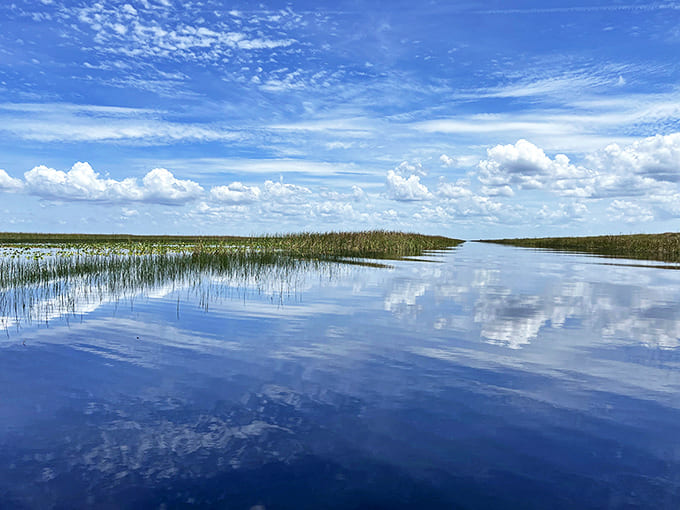 Mirror, mirror on the water &ndash; the Everglades serves up perfect reflections that would make any photographer weak at the knees.