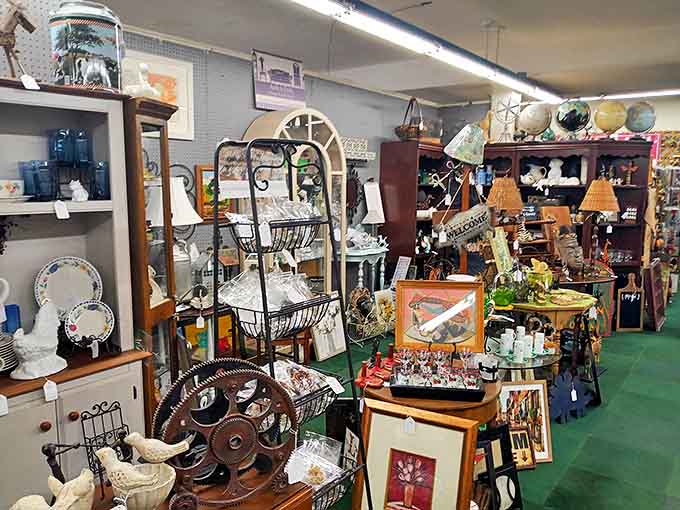 Step inside and enter a wonderland of organized chaos – narrow pathways wind through carefully arranged treasures waiting to be discovered.