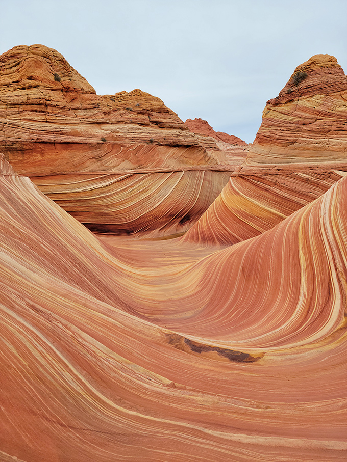 Mother Nature's psychedelic experiment that makes you wonder if rocks can actually flow like liquid caramel.