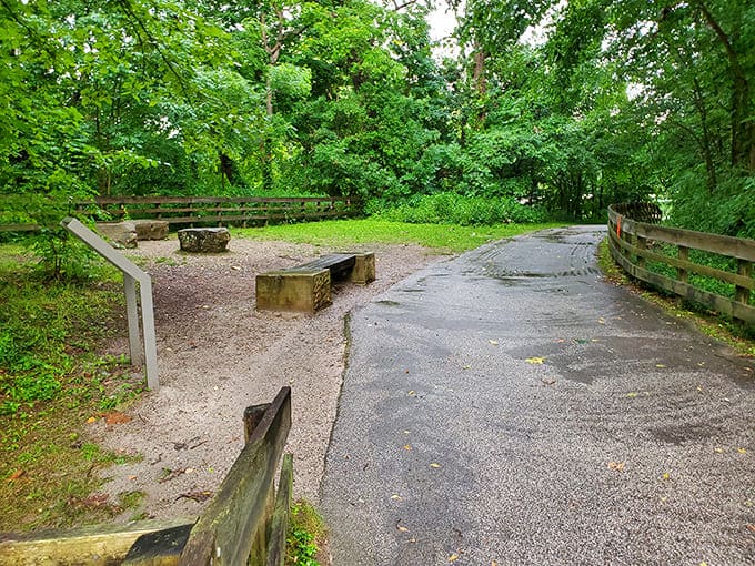 Trailhead Serenity: A peaceful rest area along the trail invites hikers to pause and soak in the natural beauty of Cuyahoga Valley.