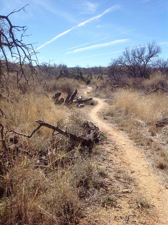 A winding dirt path beckons adventure seekers through Oracle's desert landscape &ndash; Mother Nature's version of the yellow brick road.
