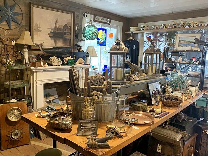 A mesmerizing tableau of maritime treasures, vintage collectibles, and coastal artifacts creates an immersive time-travel experience for curious browsers.