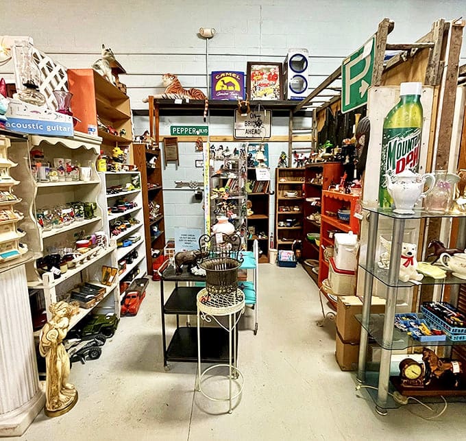 Shelves packed with memories! This vintage collector's paradise offers everything from nostalgic toys to practical kitchenware, each item waiting for its next chapter.