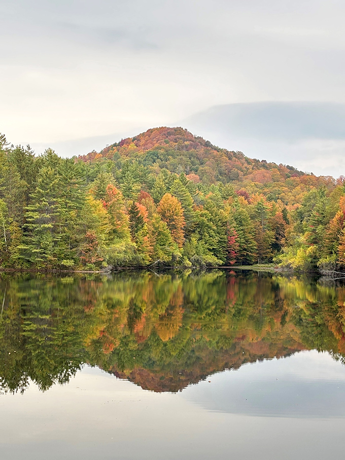 Vondell Reservoir mirrors autumn's fiery display, doubling nature's masterpiece in still waters that invite contemplation rather than Instagram frenzy.