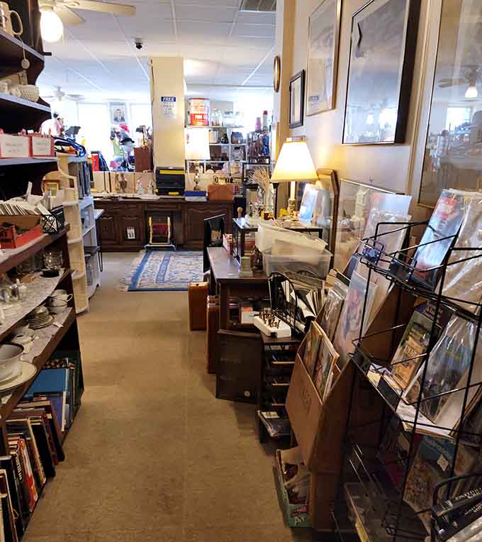 Gleaming floors and thoughtfully arranged displays create a browsing experience that's equal parts museum and marketplace, minus the "don't touch" signs.