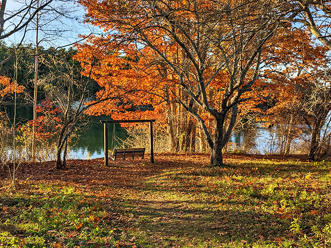 The Whaleback Shell Midden whispers 2,000-year-old stories while surrounded by fall's fleeting beauty &ndash; history and nature in perfect harmony.