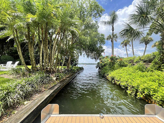 Nature creates its own perfect frame as the tour boat navigates through narrow canals lined with lush vegetation and swaying palms.